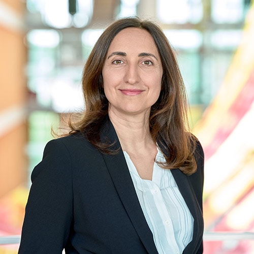 Melek Sahinoglu