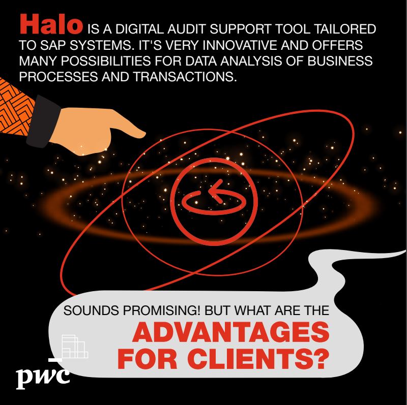 Audisseum, the world of audit