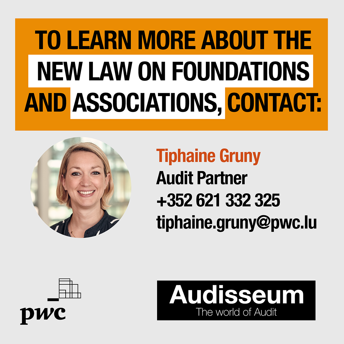 Audisseum, the world of audit