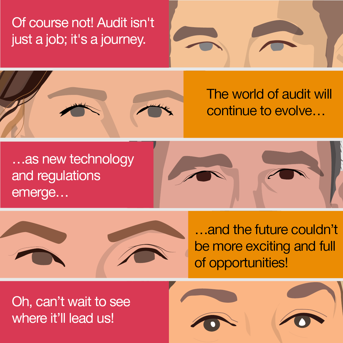 Audisseum, the world of audit