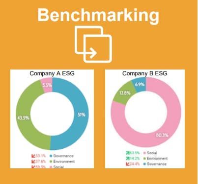 ESG reputational risk