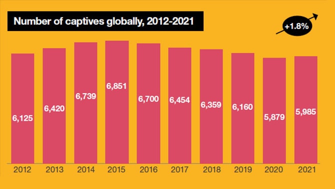 Releasing Captive Value: Practical Guide on Captive Insurance and ...