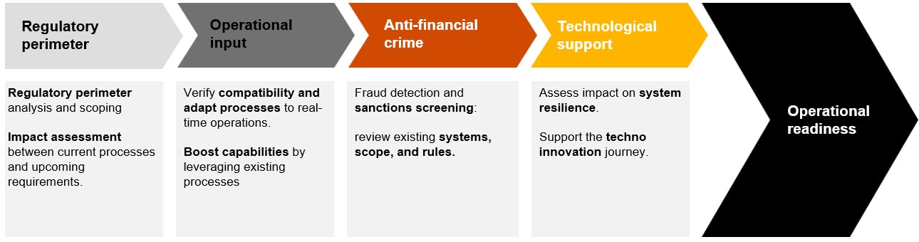 Regulatory advisory services for instant payments